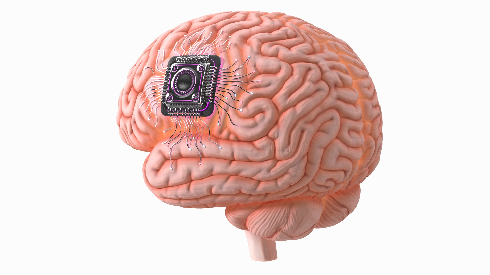 3D Model Human Brain With Microchip Implant With Light - TurboSquid 2270638