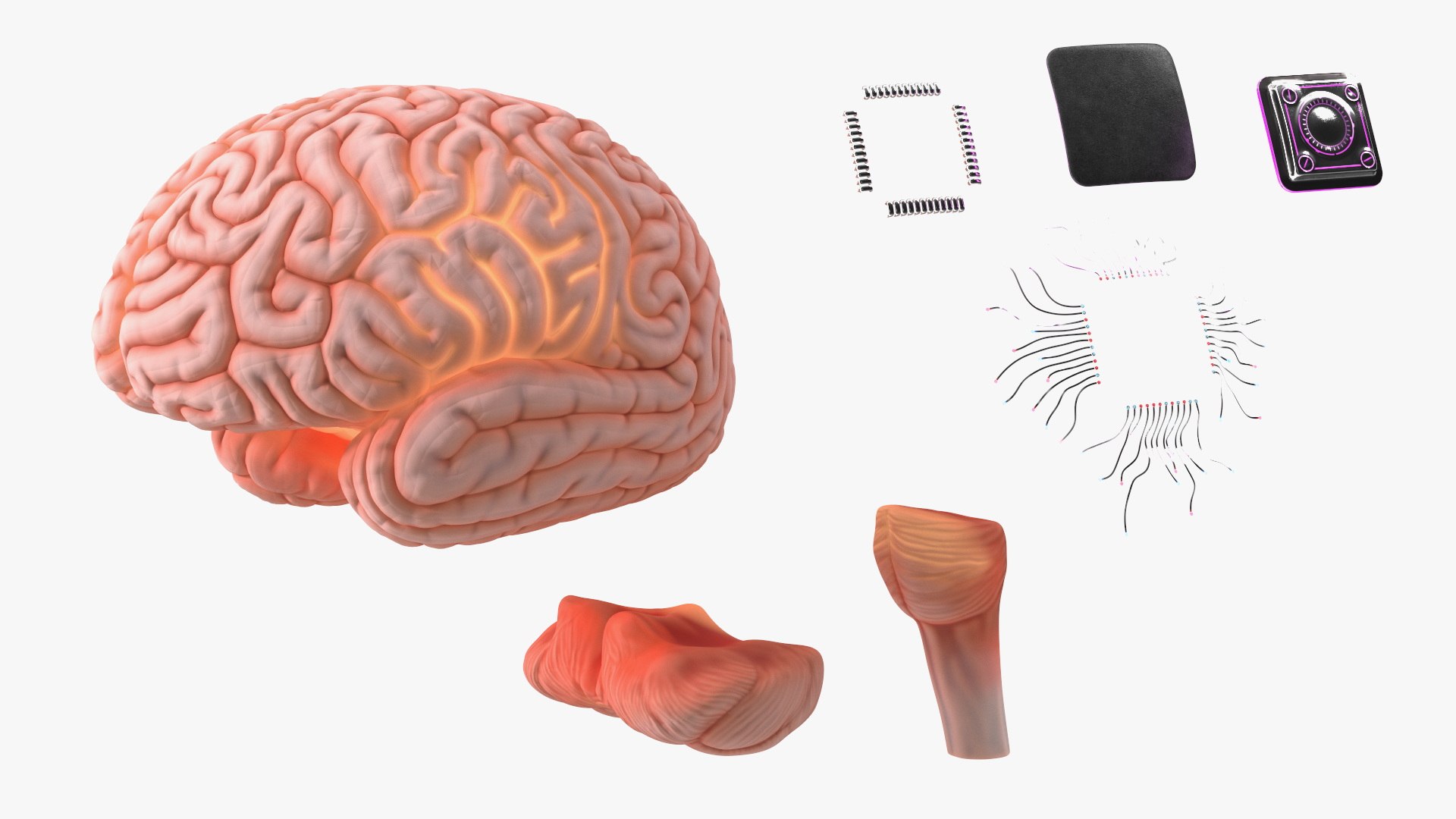 3D Model Human Brain With Microchip Implant With Light - TurboSquid 2270638