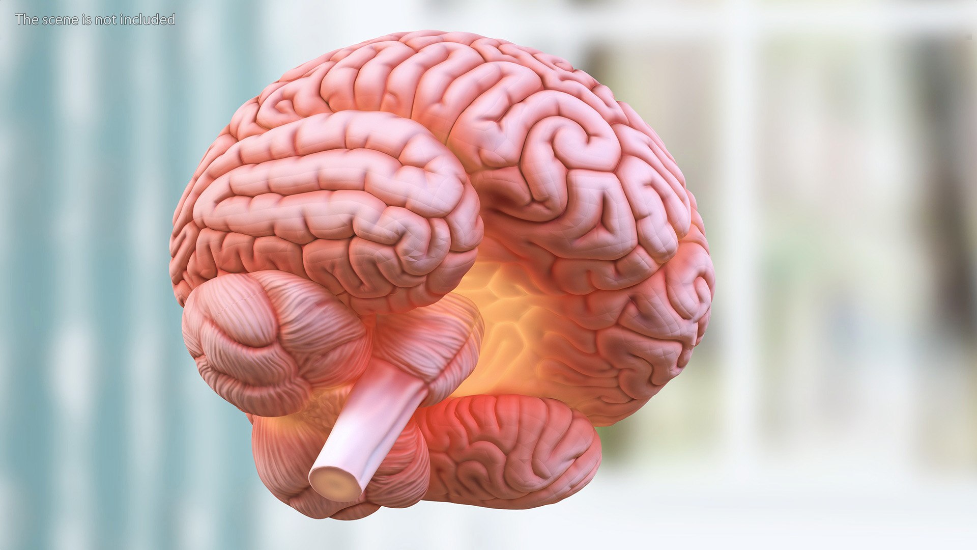 3D Model Human Brain With Microchip Implant With Light - TurboSquid 2270638