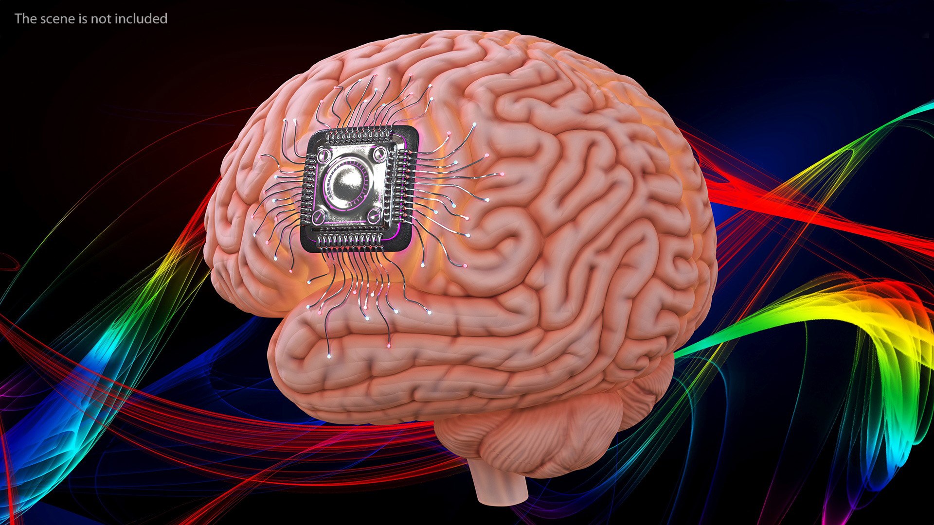3D Model Human Brain With Microchip Implant With Light - TurboSquid 2270638