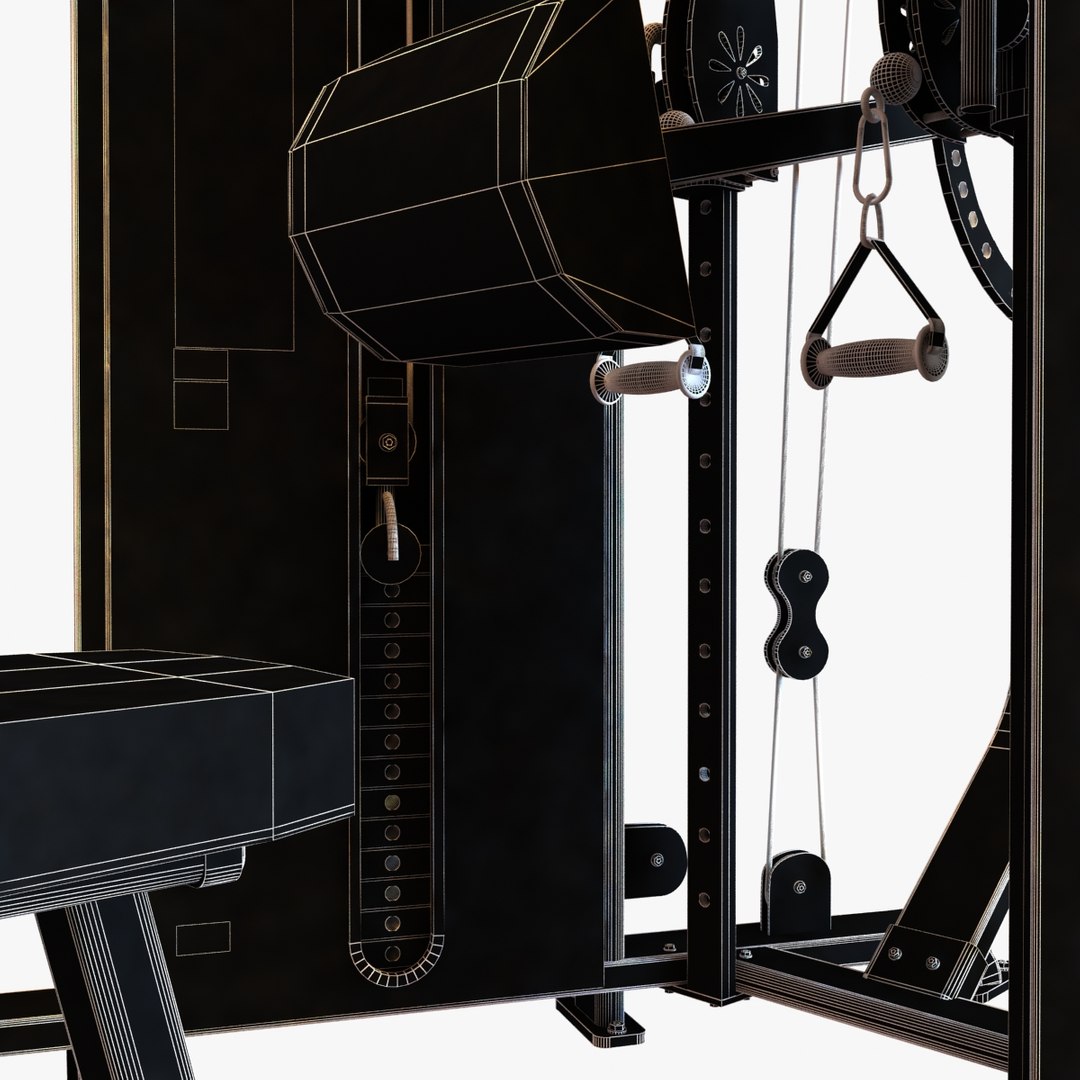 3d Gym Functional Trainer Train