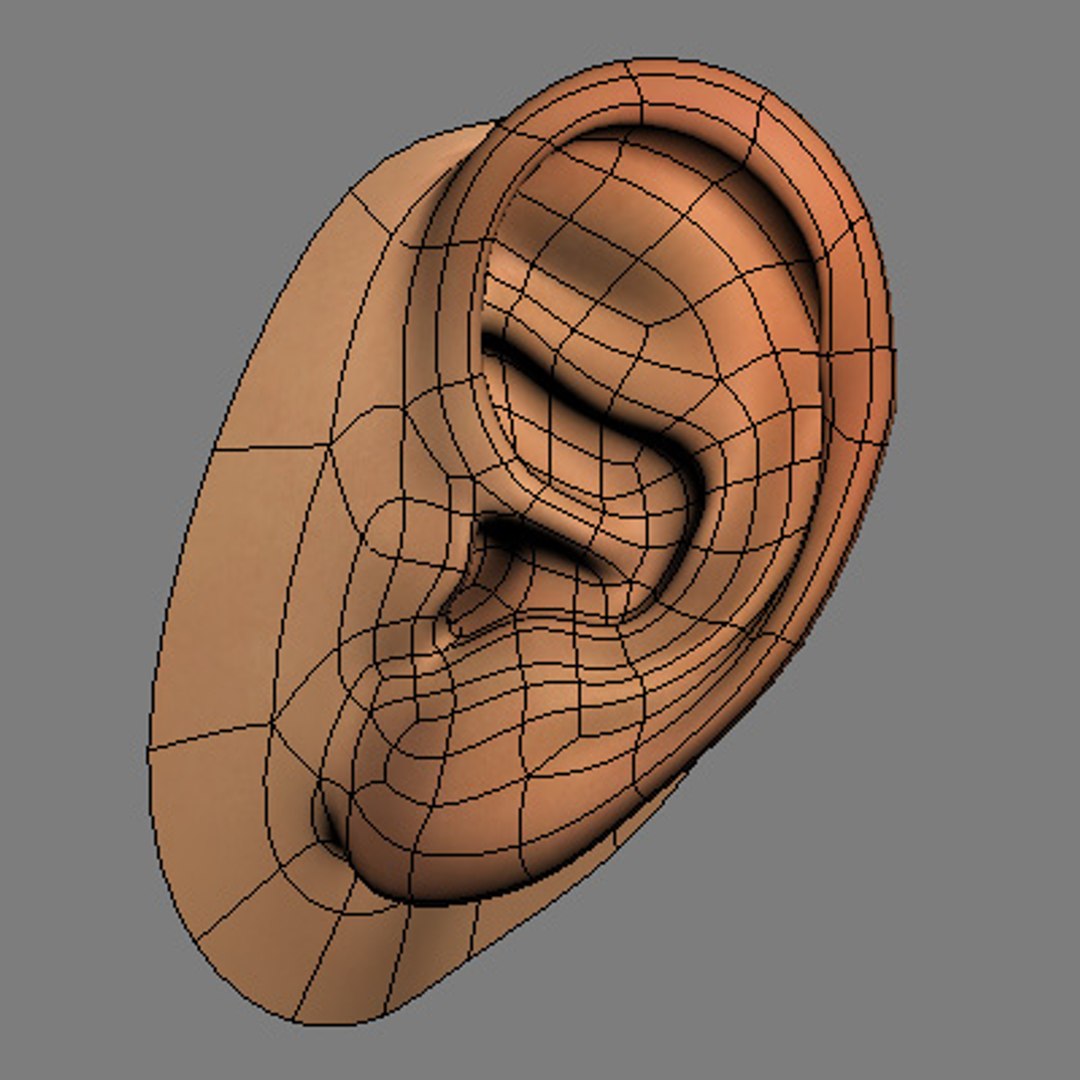 realistic ear 3d model