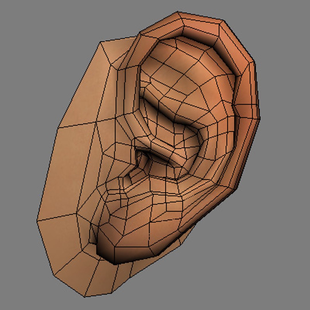 realistic ear 3d model