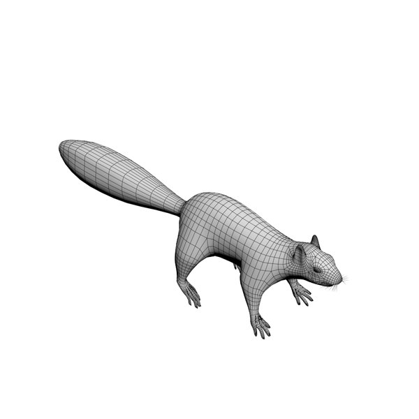 3D squirrel model - TurboSquid 1168021