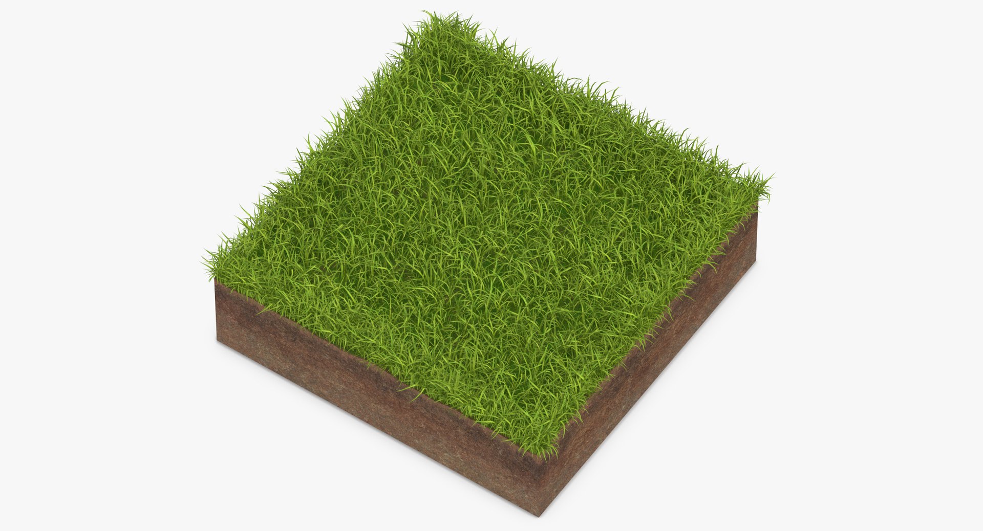 3D Model Grass Cross Section 01 - TurboSquid 1320696