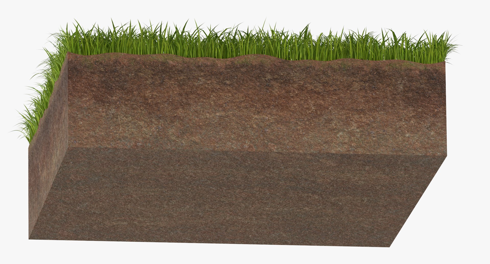 3D Model Grass Cross Section 01 - TurboSquid 1320696