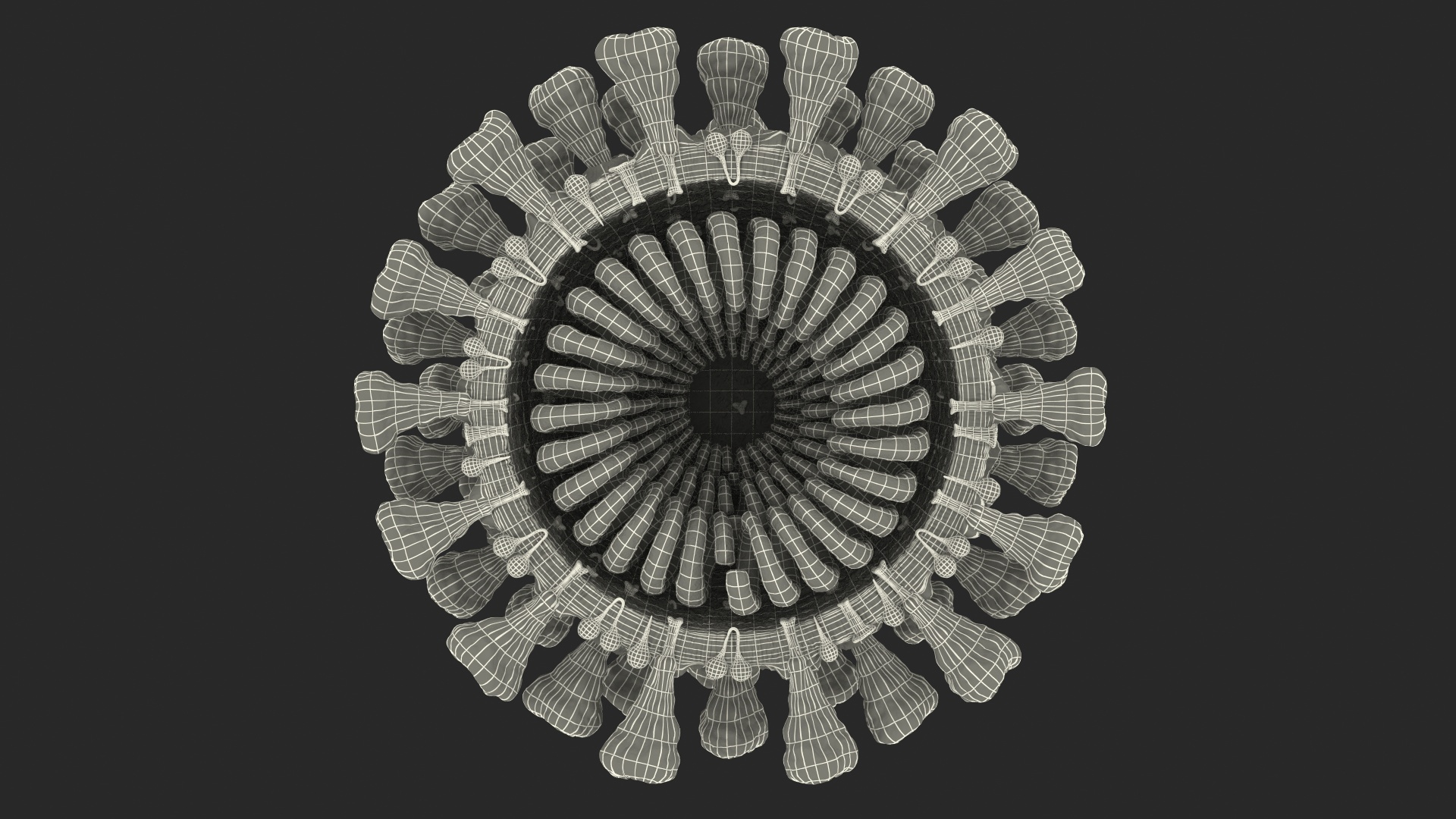 Coronavirus Sars-cov Cross Section 3D - TurboSquid 1516005