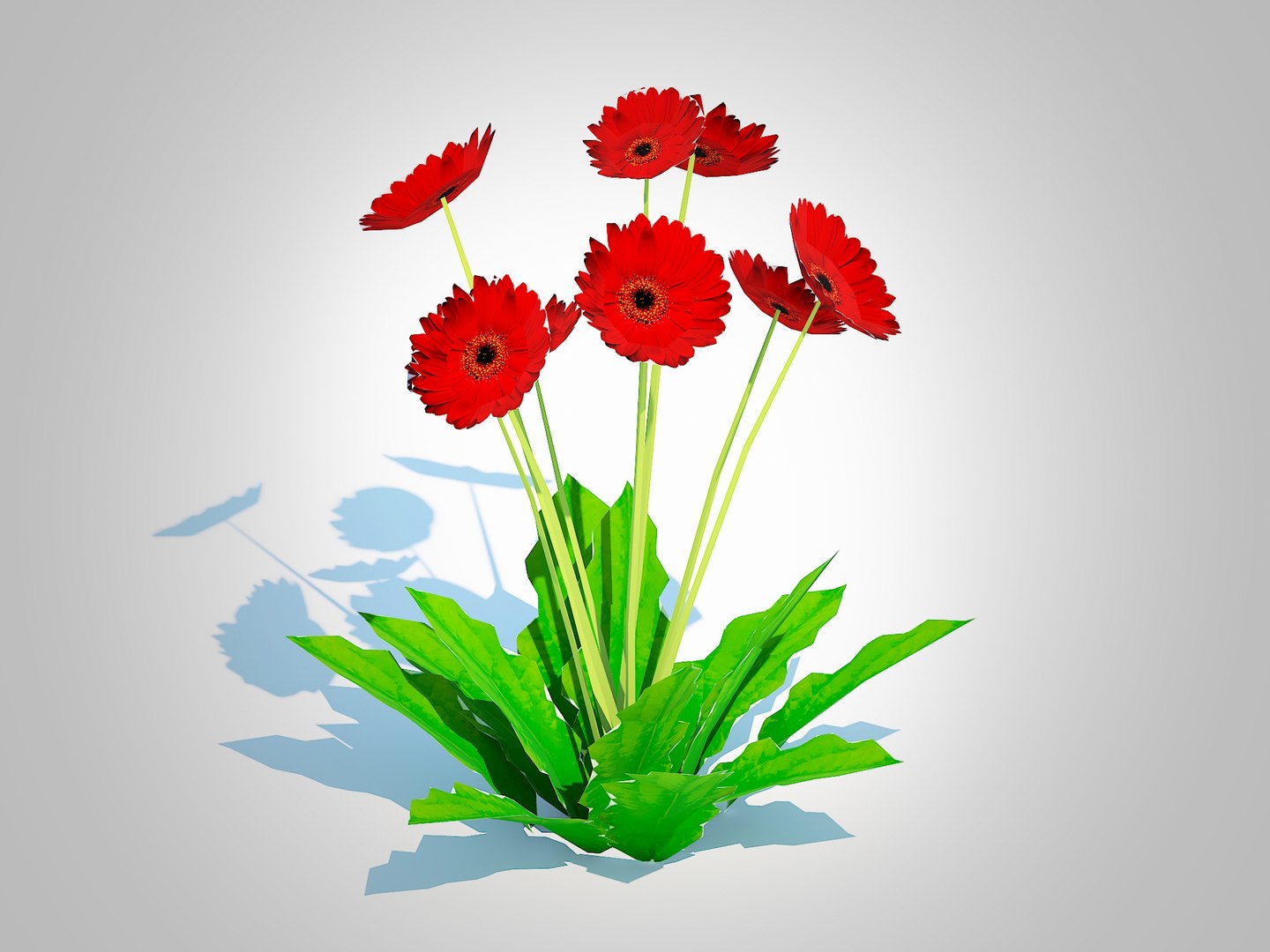 Gerbera - Gerbera DaisyRedFlower Model - TurboSquid 2306845