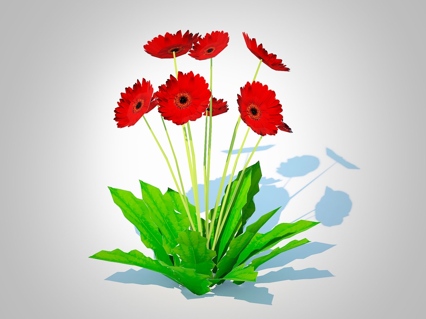 Gerbera - Gerbera DaisyRedFlower Model - TurboSquid 2306845
