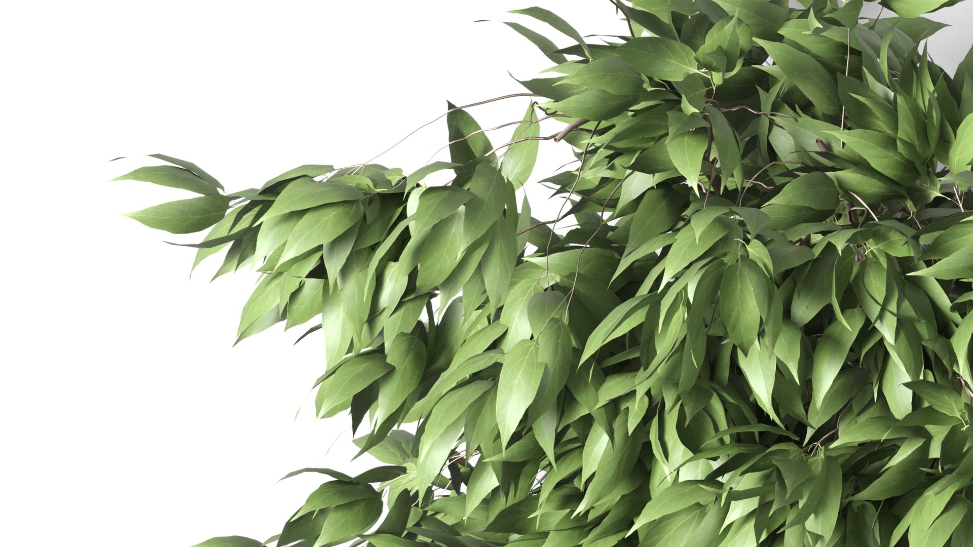 3D Isla Wall Mounted Lamp Glass Vase - TurboSquid 2293686