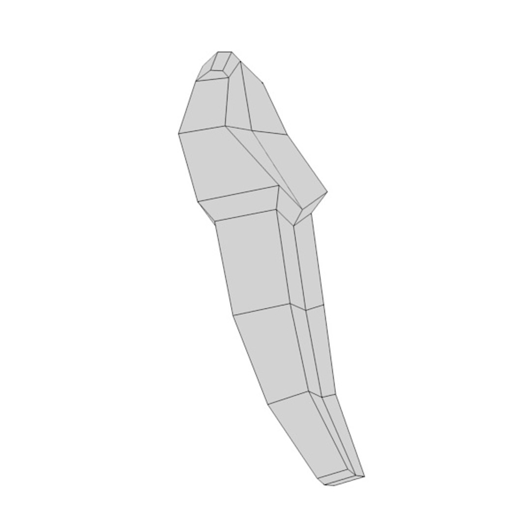 canine teeth 3d model