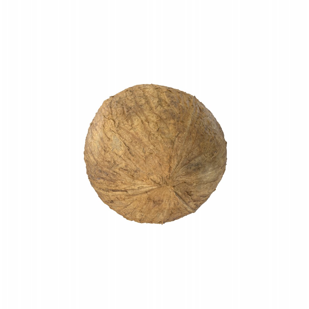 3D Coconut Model - TurboSquid 2340943
