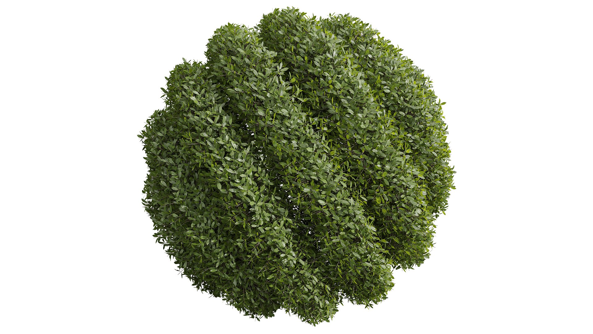3D 7Different SETS Of Bush Set Vol 39 Model - TurboSquid 2241308