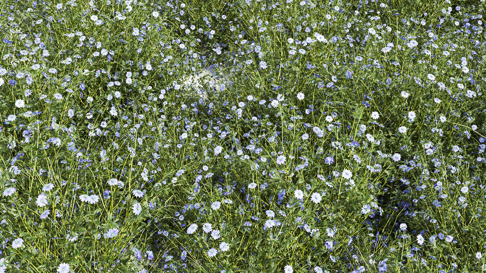 3D 7Different SETS Of Bush Set Vol 39 Model - TurboSquid 2241308