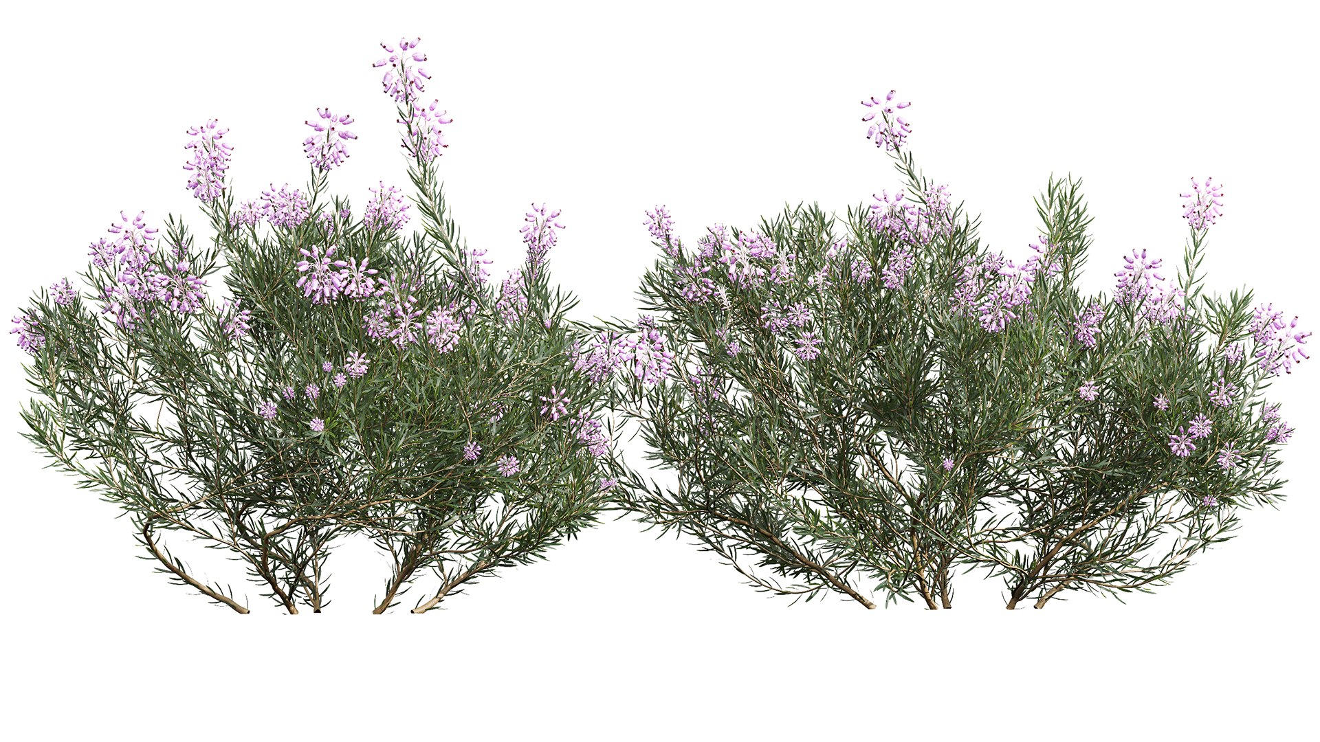3D 7Different SETS Of Bush Set Vol 39 Model - TurboSquid 2241308
