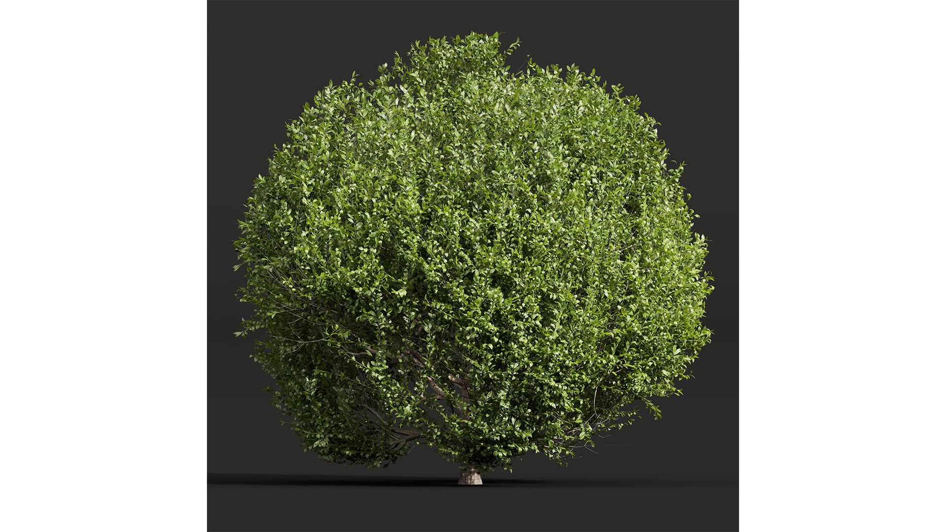 3D 7Different SETS Of Bush Set Vol 39 Model - TurboSquid 2241308