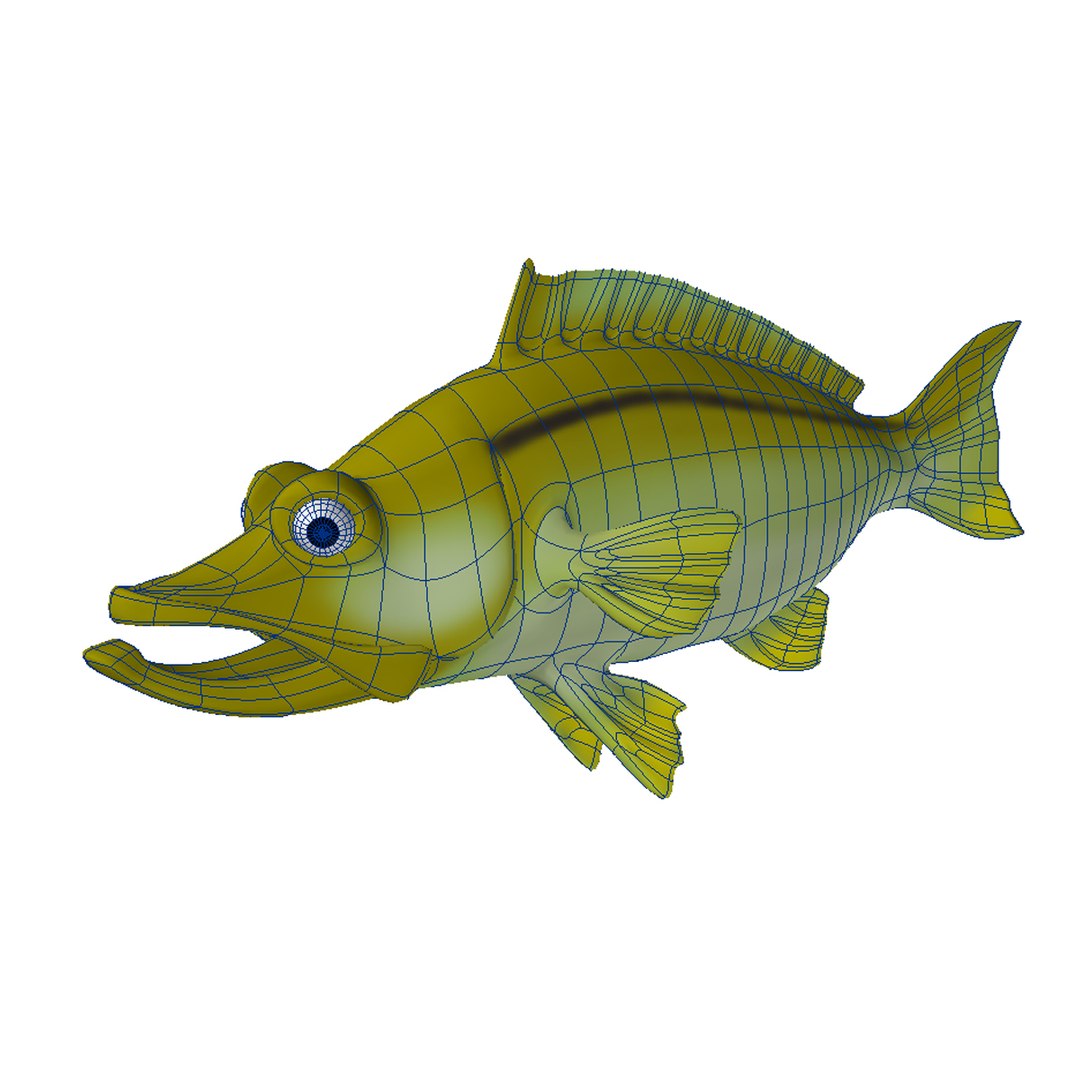 3d Model Cartoon Fish Snook