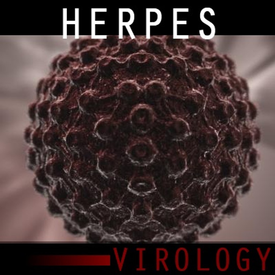 Herpes Simplex Virus Max