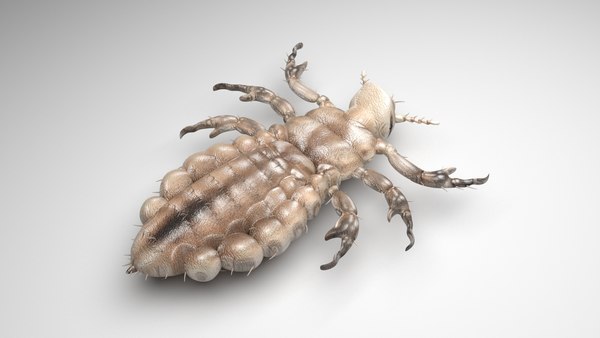 3D toy fruit model - TurboSquid 1684811