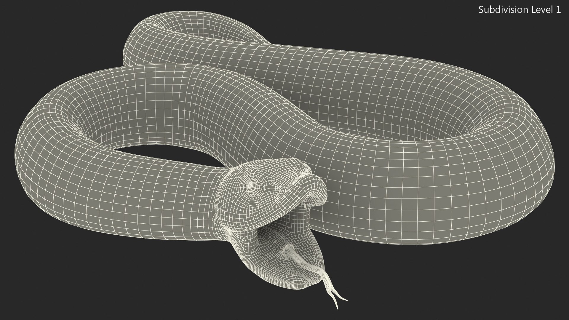 3D Brown Hognose Snake Rigged - TurboSquid 1476117