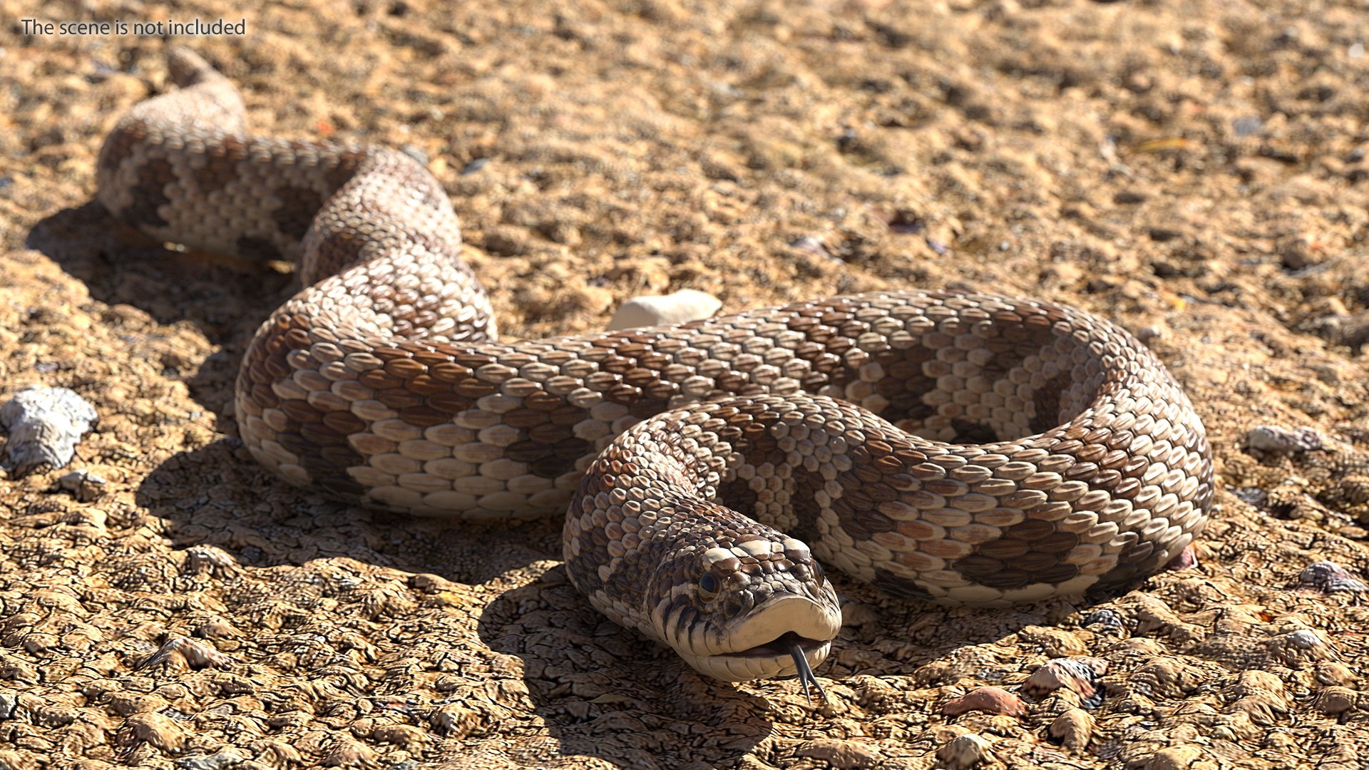 3D brown hognose snake rigged - TurboSquid 1476117
