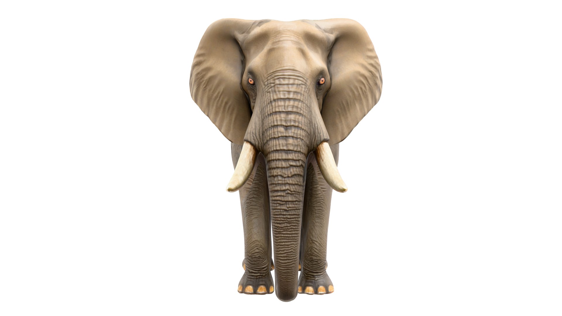 Realistic African Elephant 3D Model - TurboSquid 2412345