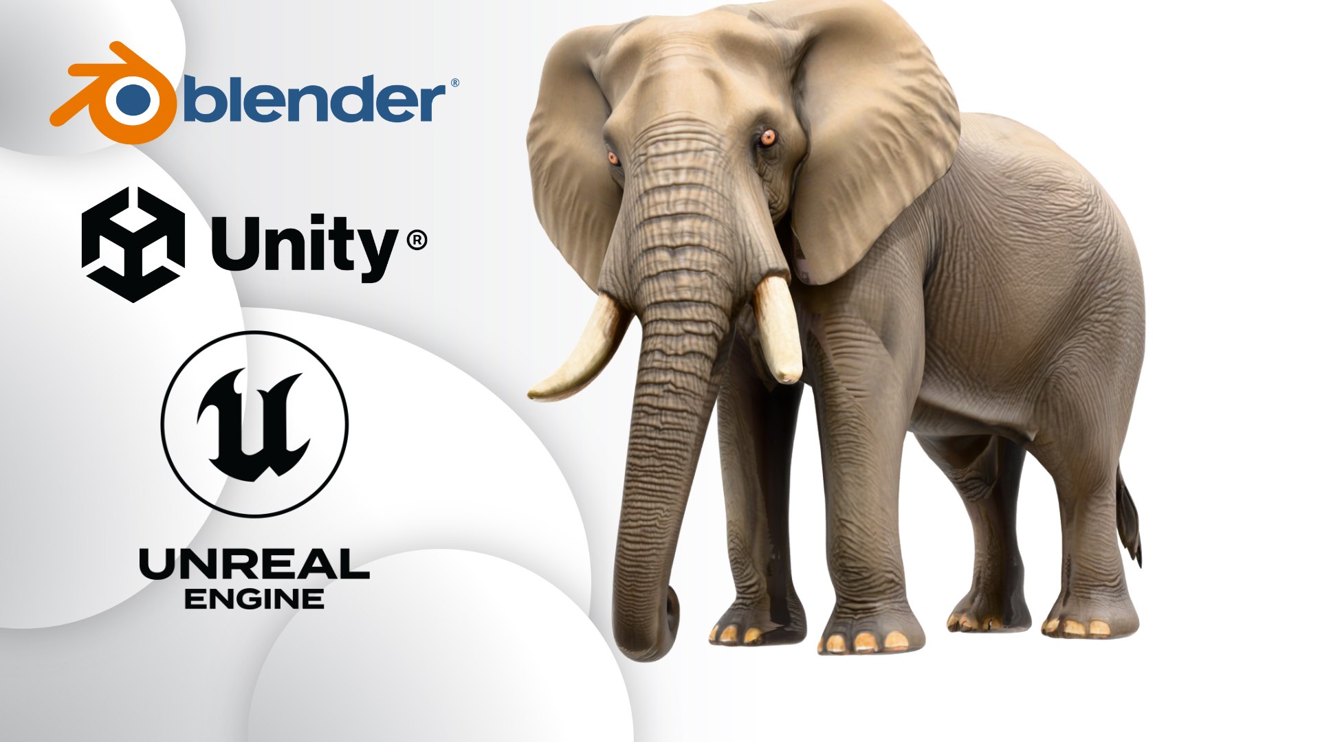 Realistic African Elephant 3D Model - TurboSquid 2412345