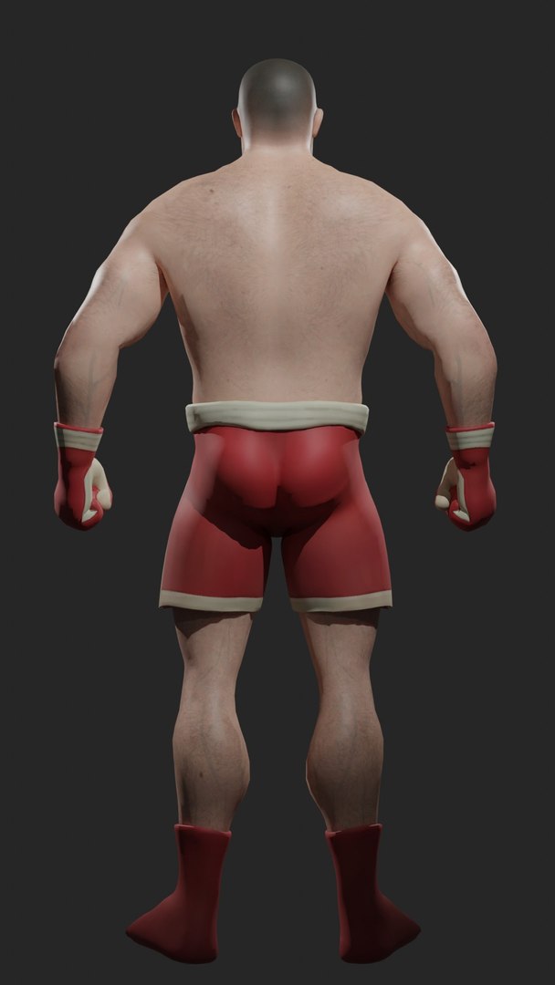 Boxer 3D Model - TurboSquid 1450290