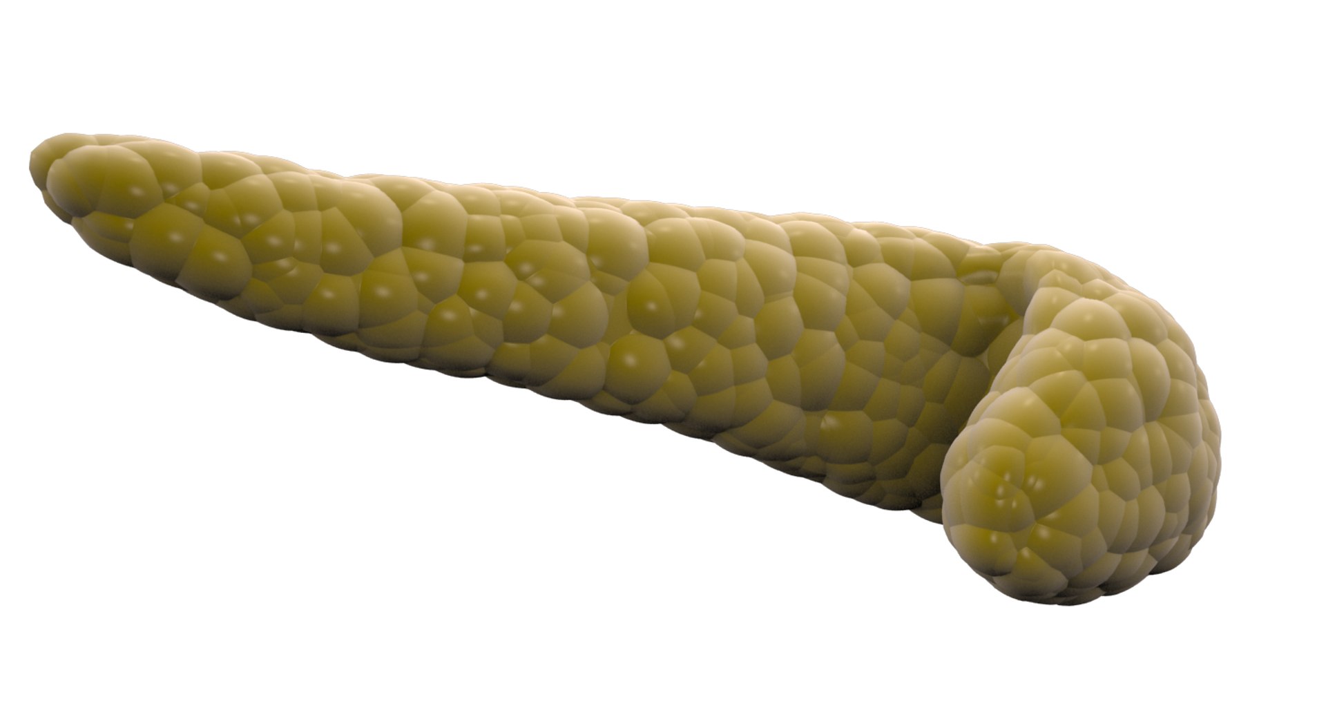 Realistic Pancreas 3D Model - TurboSquid 1188901
