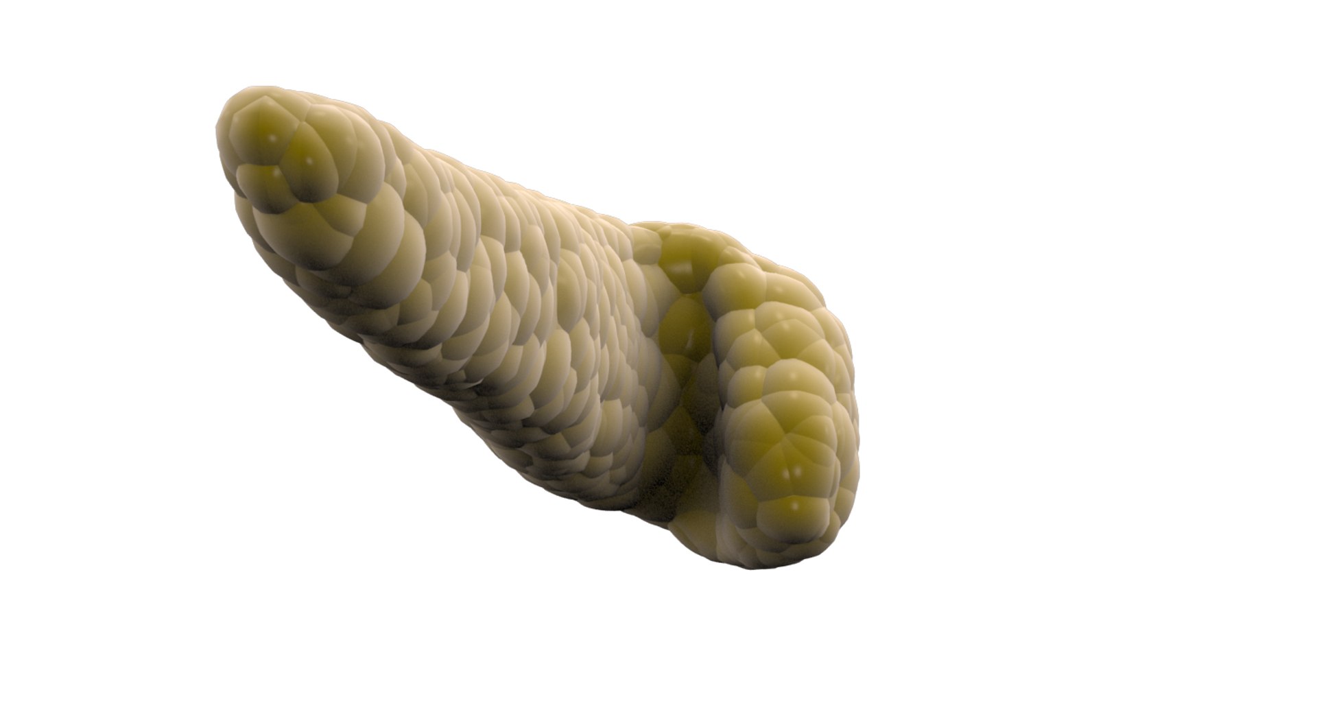 Realistic Pancreas 3D Model - TurboSquid 1188901