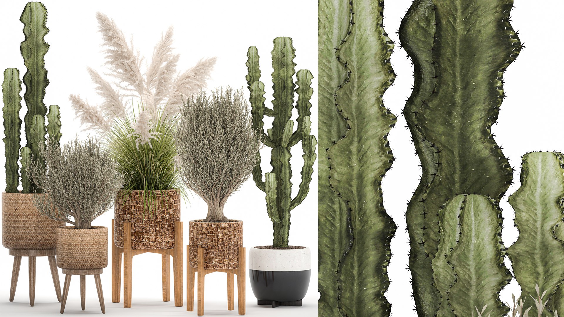 PLANTS 04122021 3D MAX 3D Model - TurboSquid 1823884