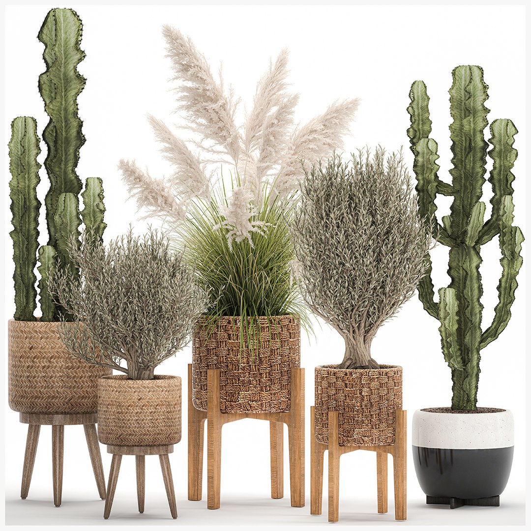 PLANTS 04122021 3D MAX 3D Model - TurboSquid 1823884