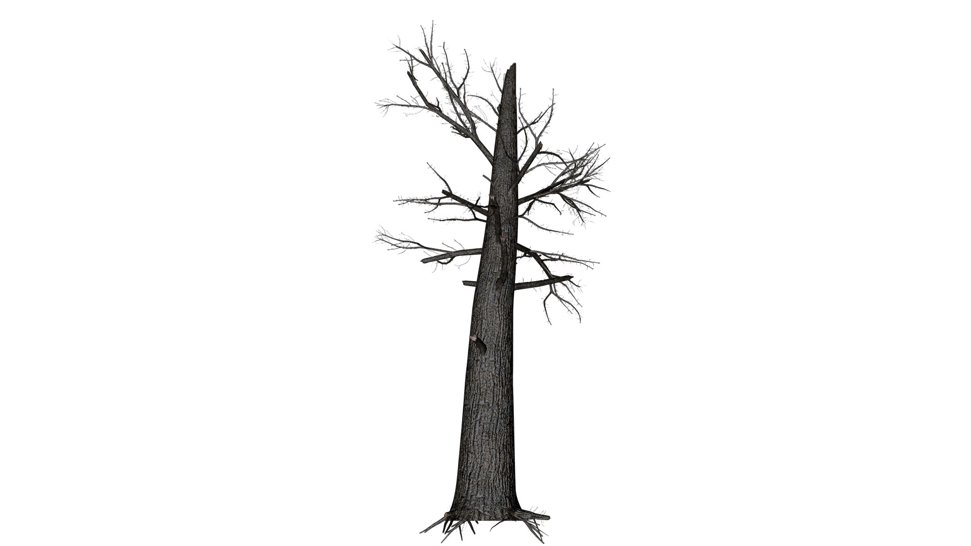 Burnt Tree - 05 - 3D Model - TurboSquid 2371825