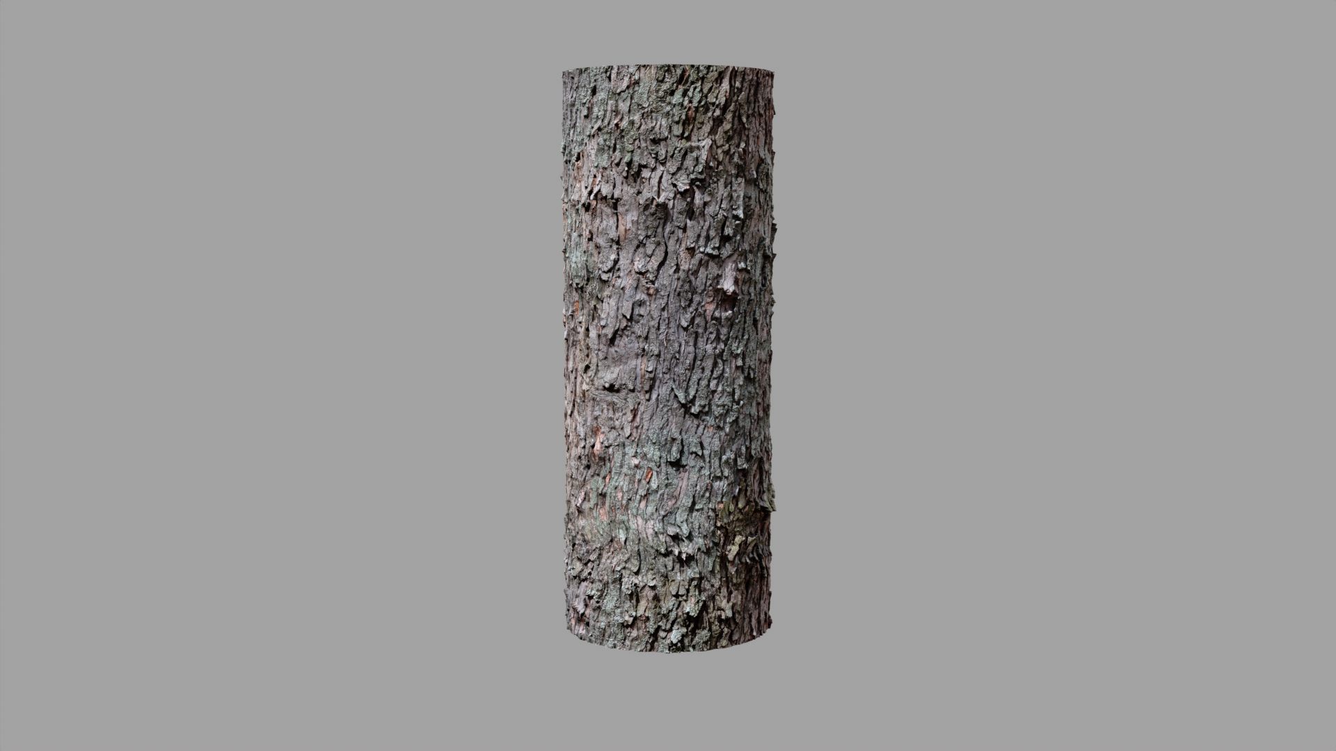 Maple PBR Tiled Texture 3D - TurboSquid 2234463