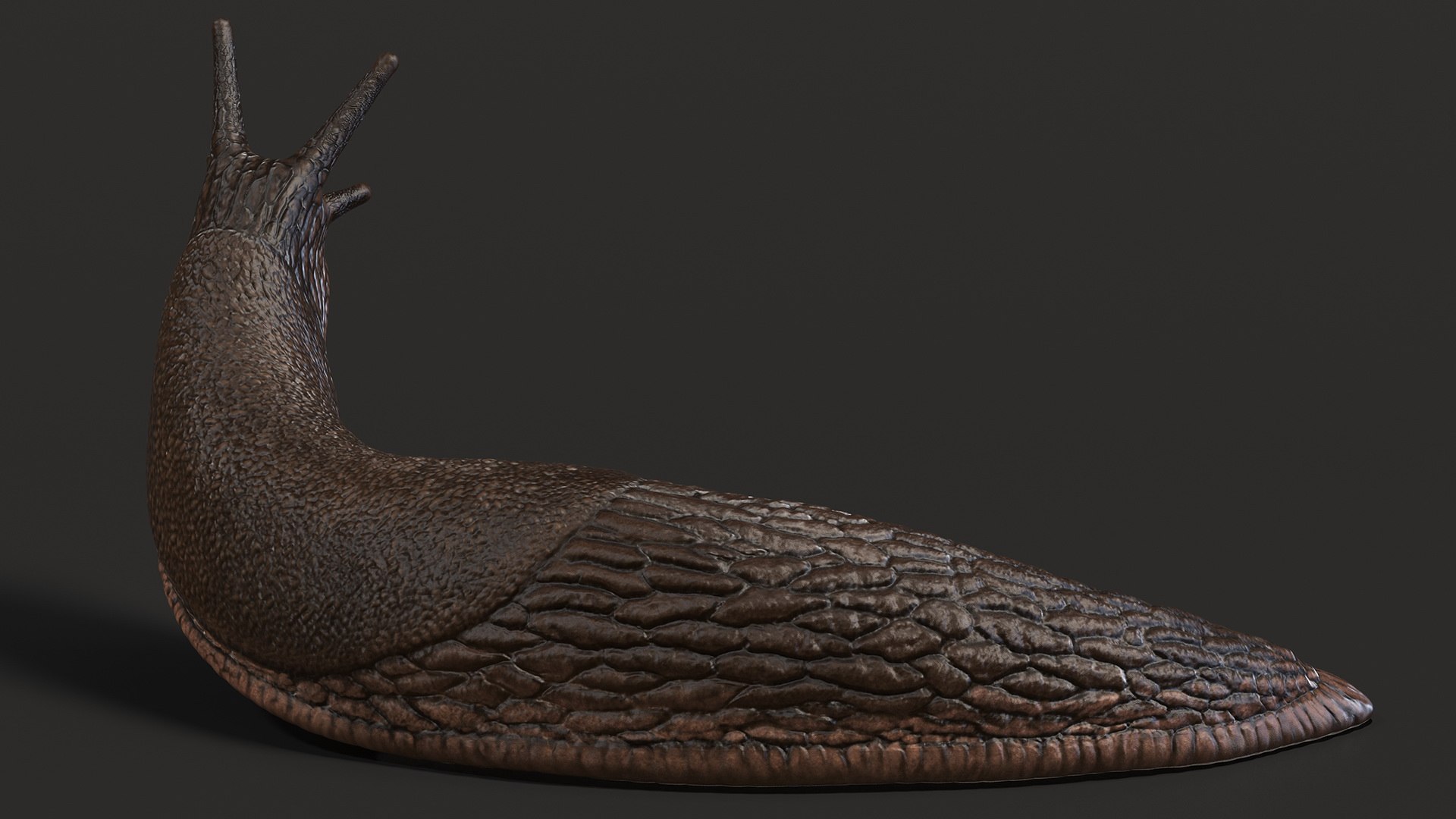 3D Black Slug Reaching Up Model - TurboSquid 2013416