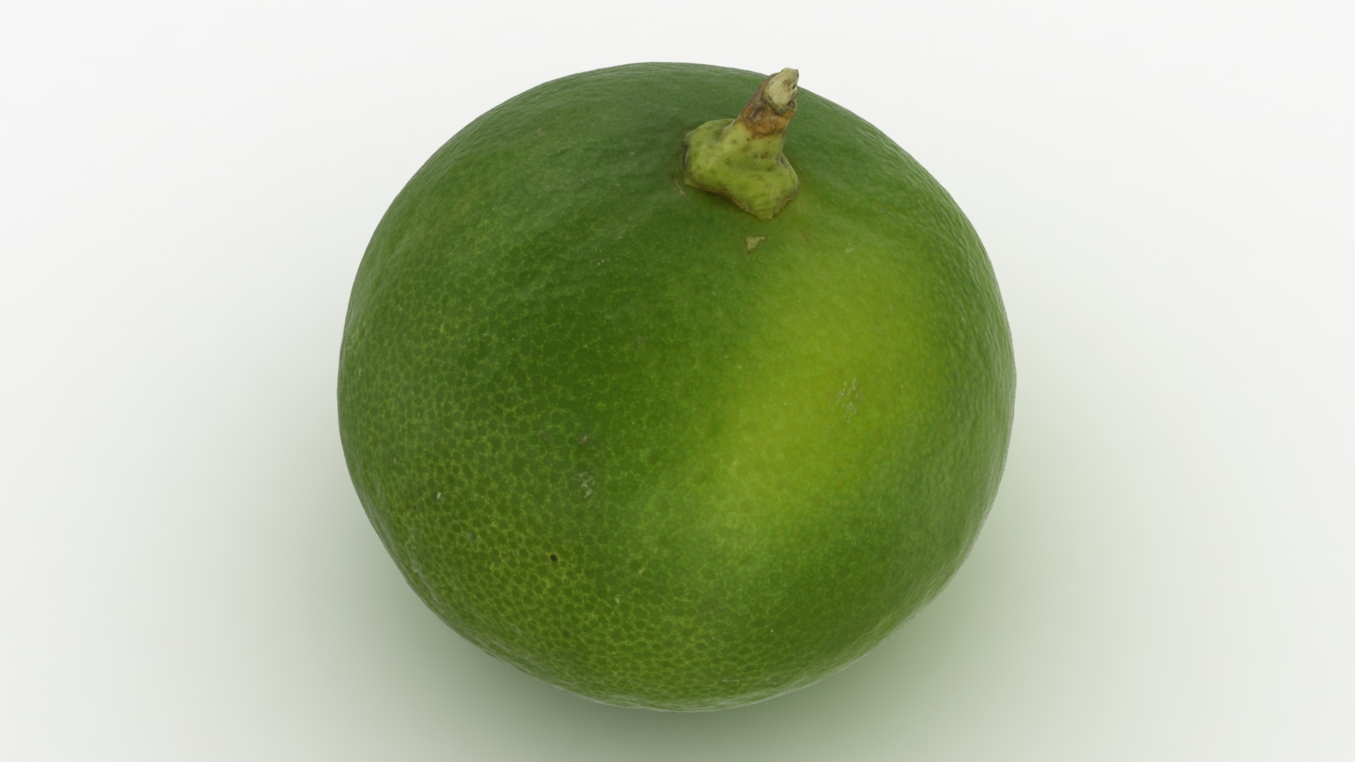 3D Lime Small Model - TurboSquid 1691177