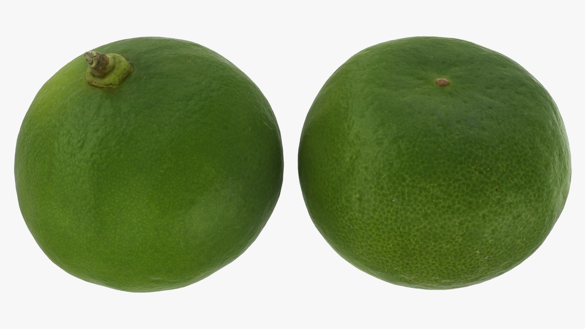 3D Lime Small Model - TurboSquid 1691177