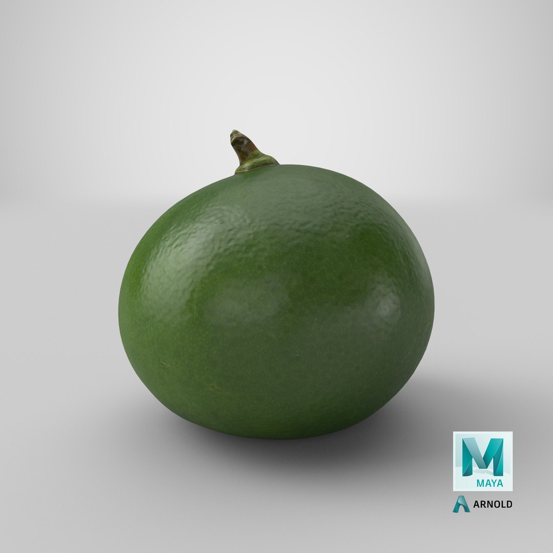 3D lime small model - TurboSquid 1691177
