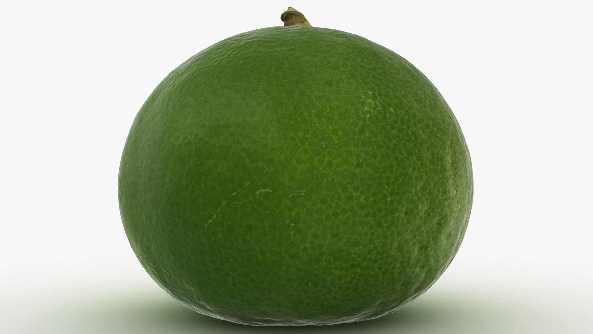 3D Lime Small Model - TurboSquid 1691177