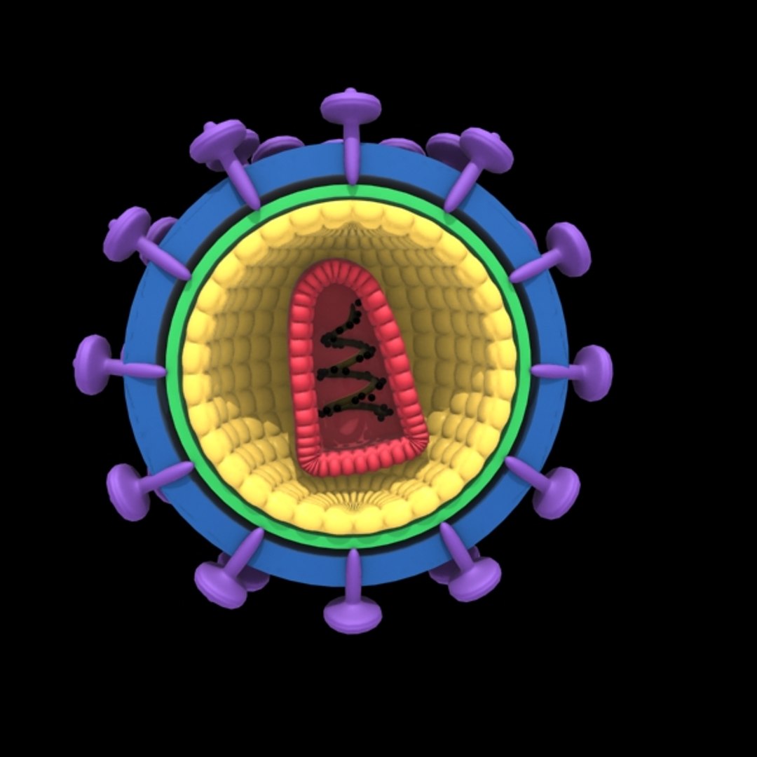 3ds Max Vih Virus Structure