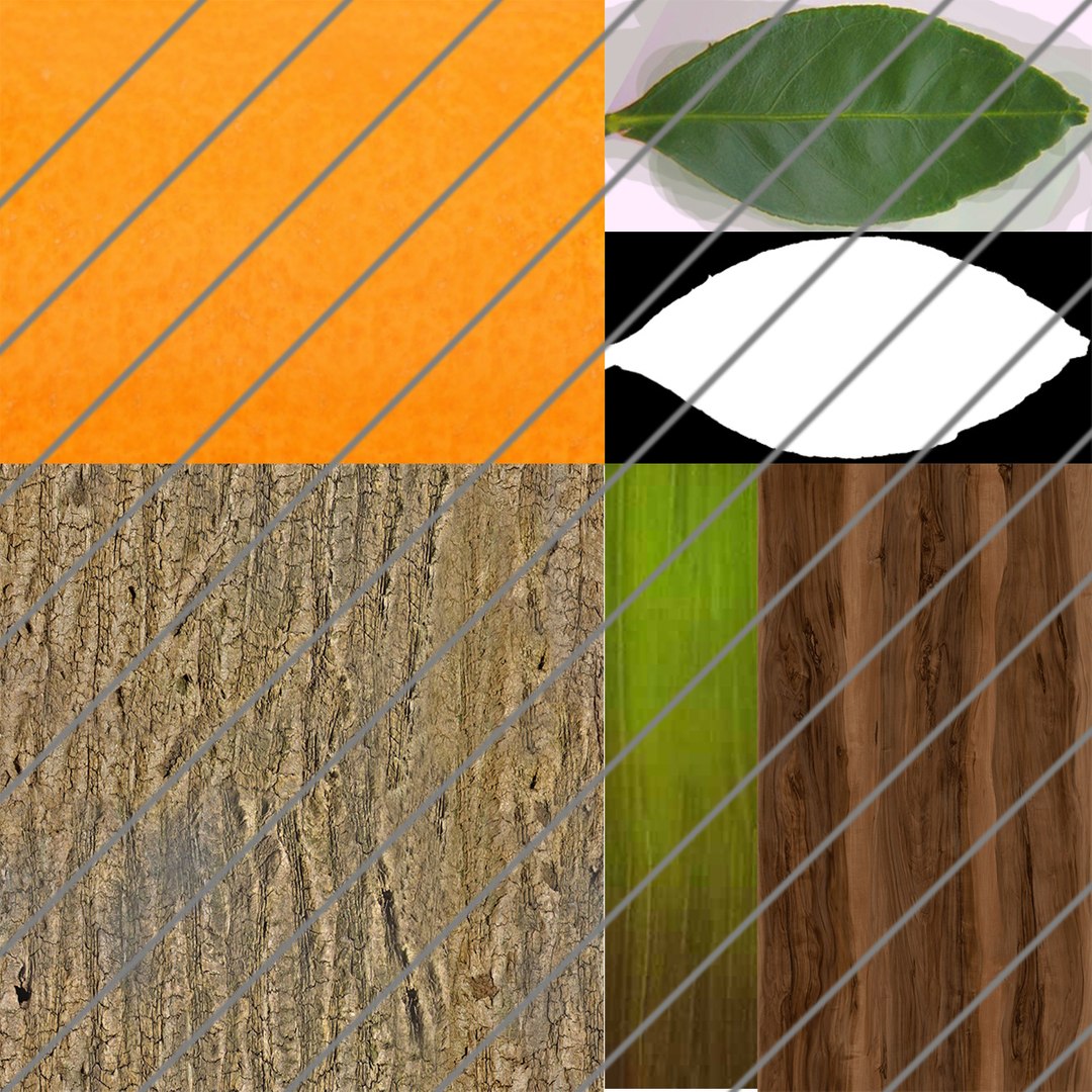 max plant orange tree