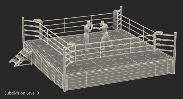 Boxers fighting boxing ring 3D model - TurboSquid 1290445