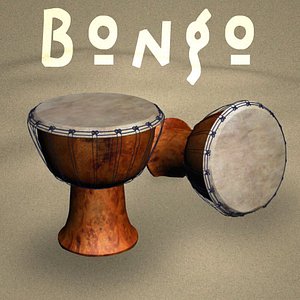 3D Bongo Models - Browse & Download Formats - TurboSquid