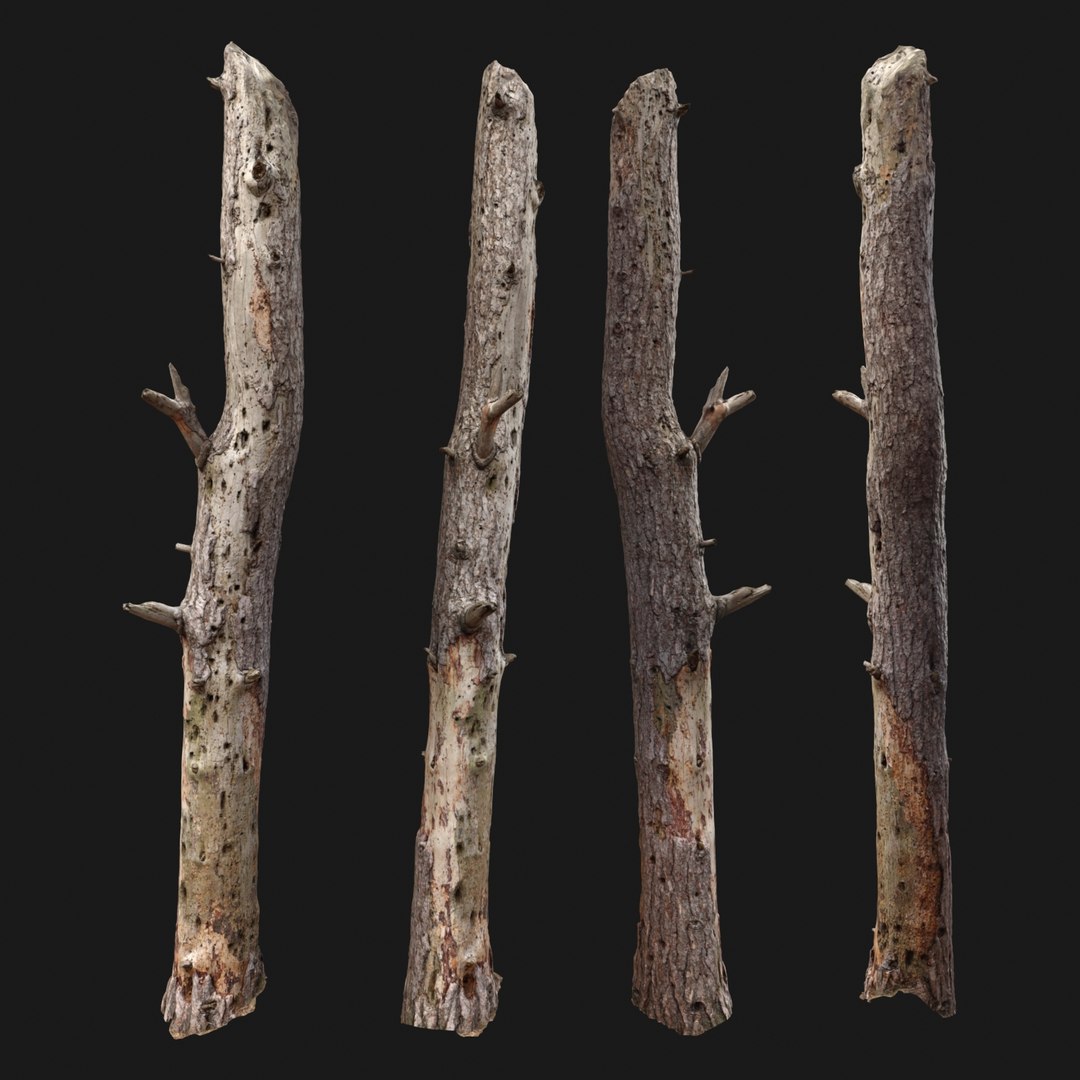 3D Dead Tree Scan - TurboSquid 1400582