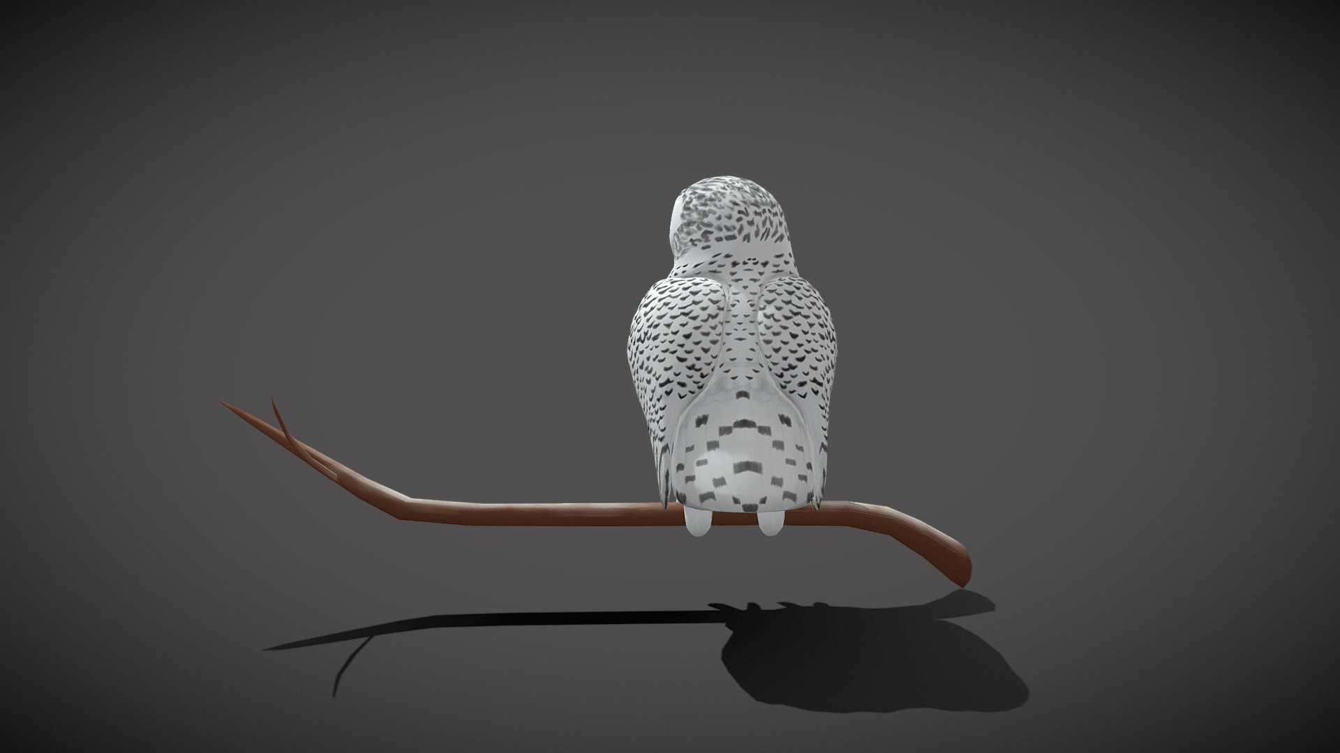 3D Model Rig Animation - TurboSquid 1502012