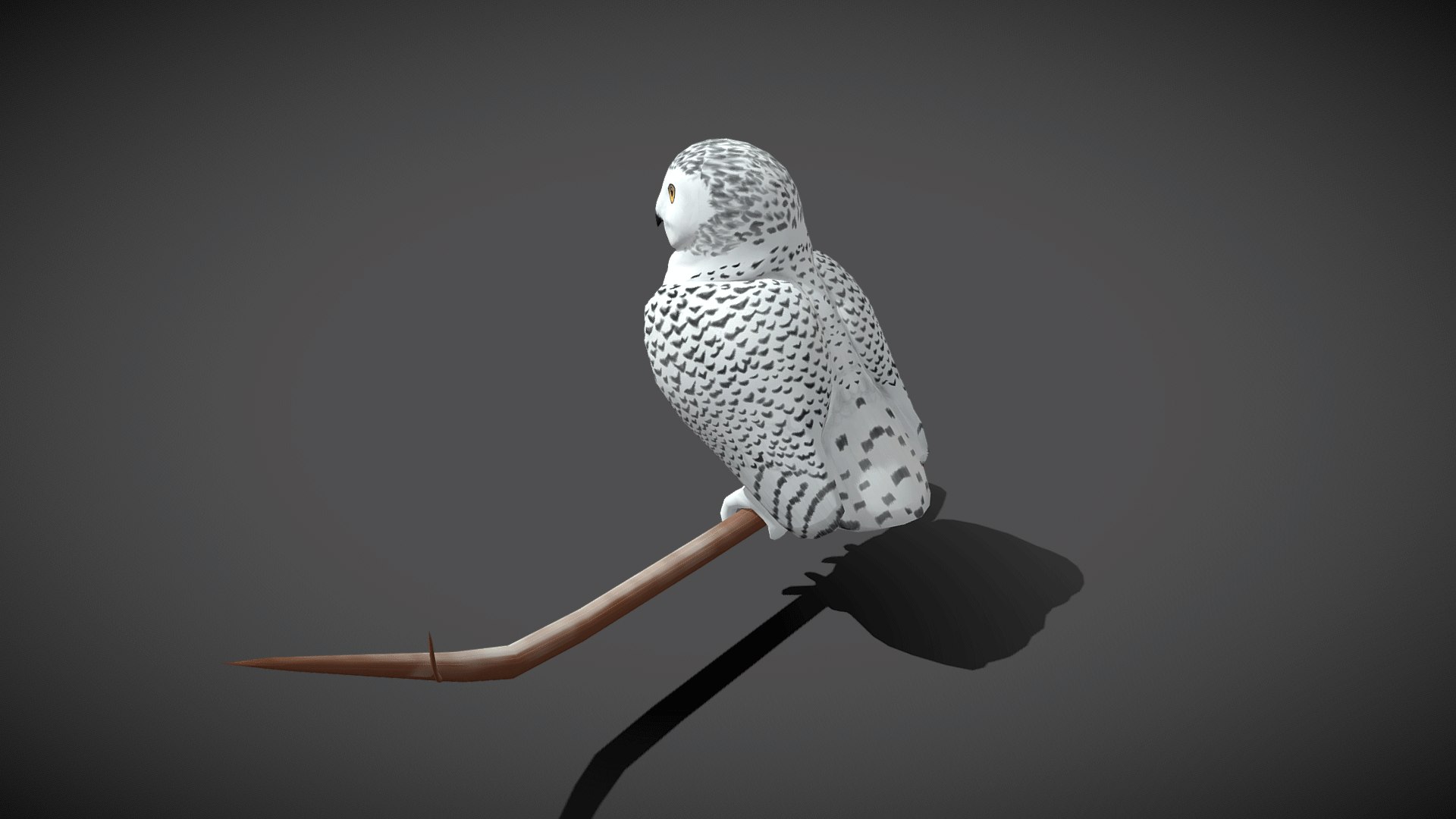 3D Model Rig Animation - TurboSquid 1502012