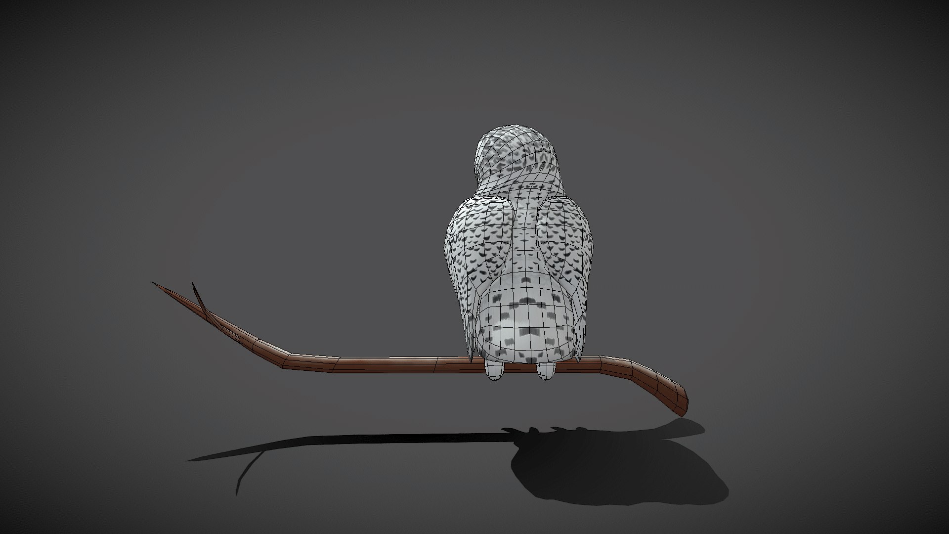 3D Model Rig Animation - TurboSquid 1502012