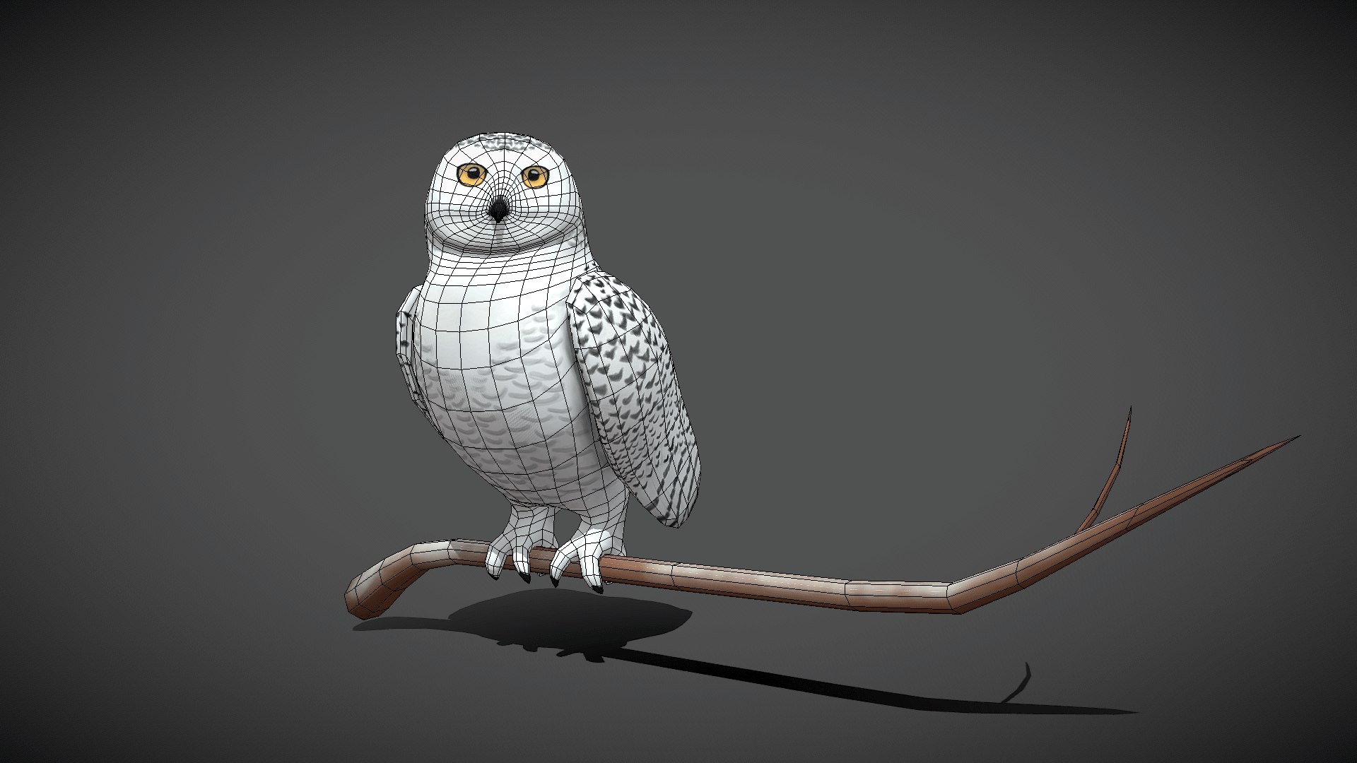 3D Model Rig Animation - TurboSquid 1502012