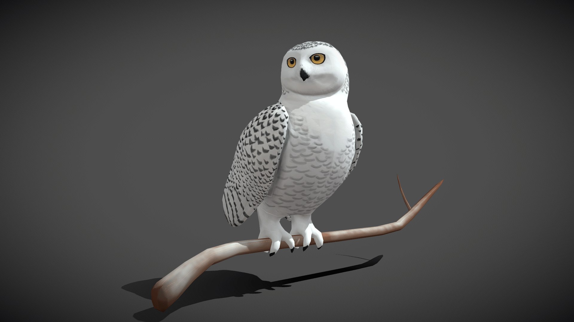 3D Model Rig Animation - TurboSquid 1502012