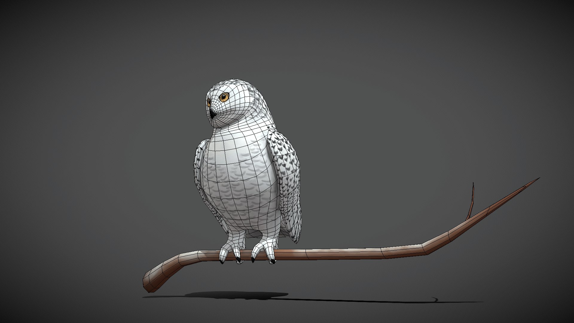 3D Model Rig Animation - TurboSquid 1502012